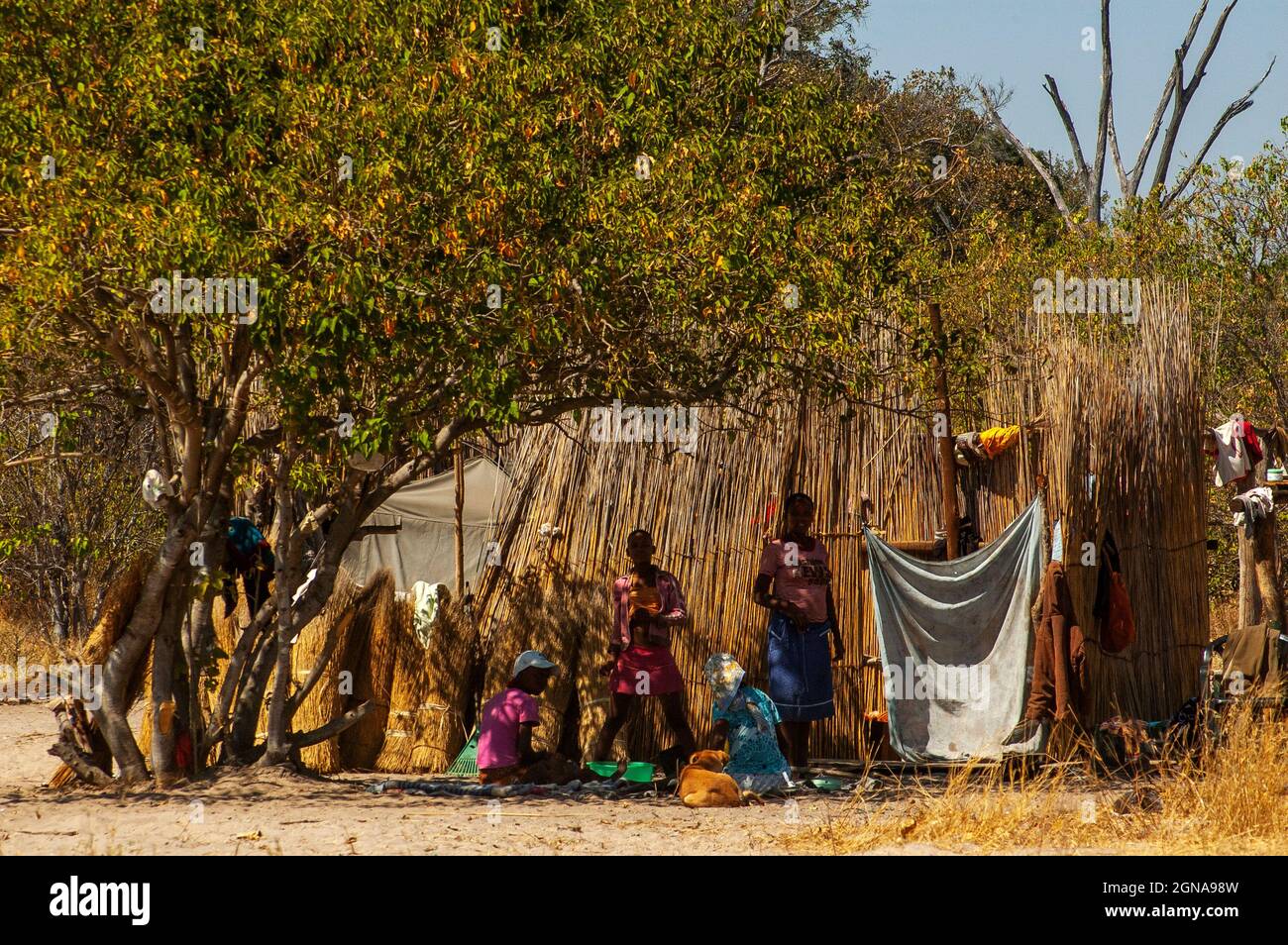 Botswana culture hi-res stock photography and images - Alamy
