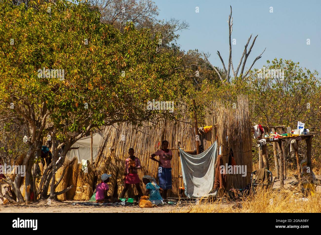 Botswana culture hi-res stock photography and images - Alamy