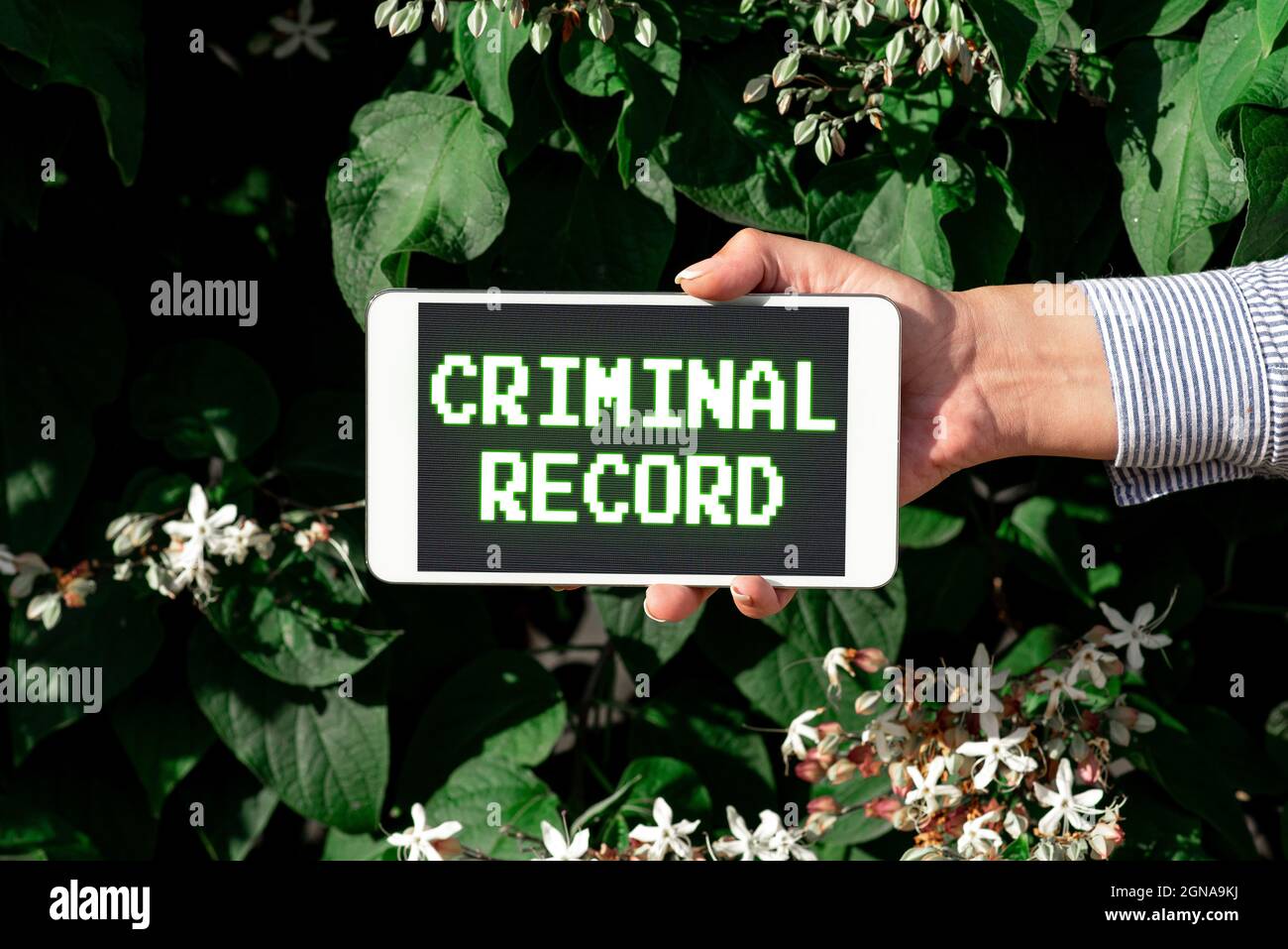 Text sign showing Criminal Record. Word for profile of a person ...