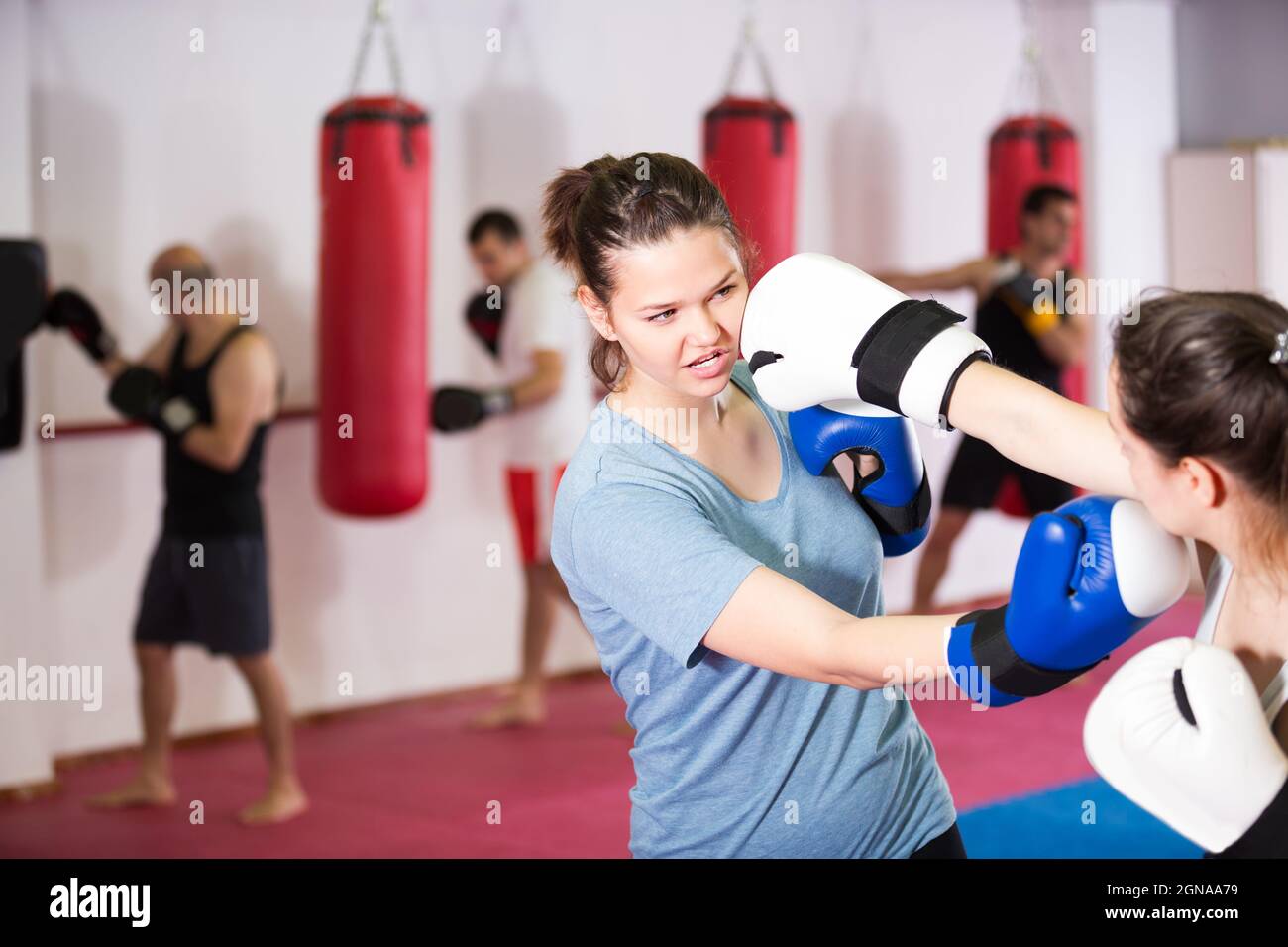 Young athlete female is having sparring with partner Stock Photo - Alamy