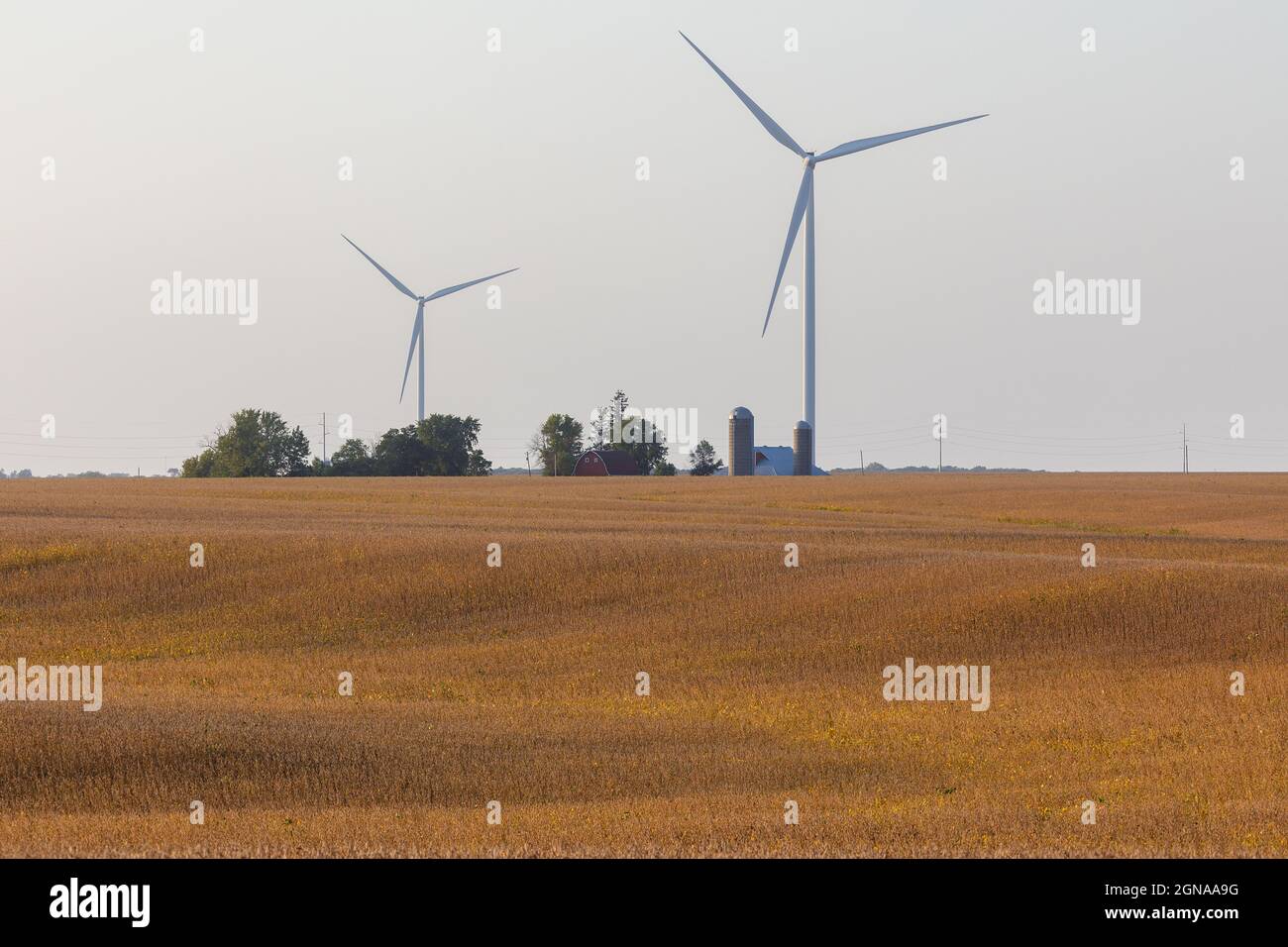 The MidAmerican Energy Prairie Wind Farm using Vestas turbines in New ...