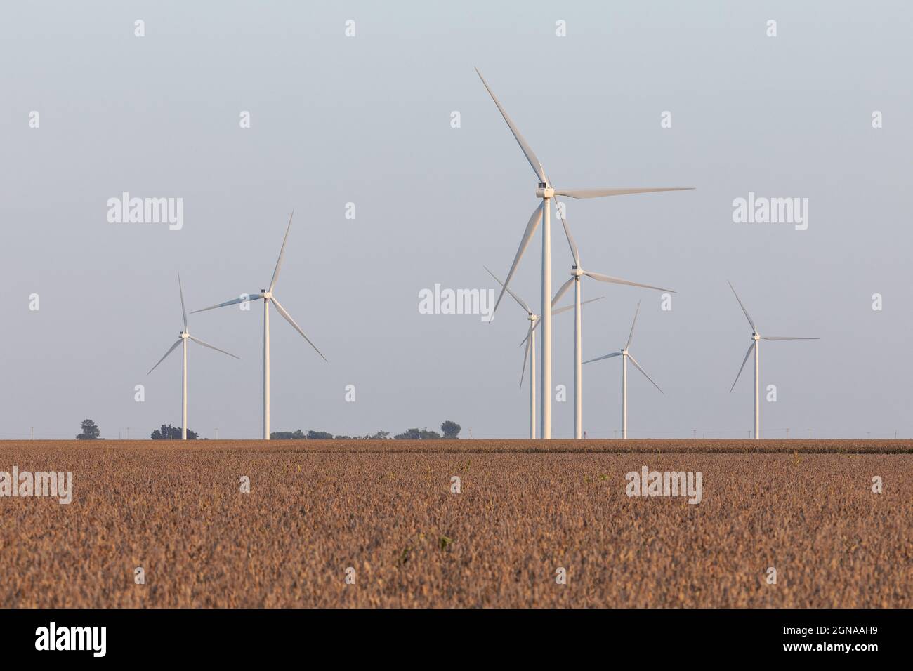 The MidAmerican Energy Prairie Wind Farm using Vestas turbines in New ...