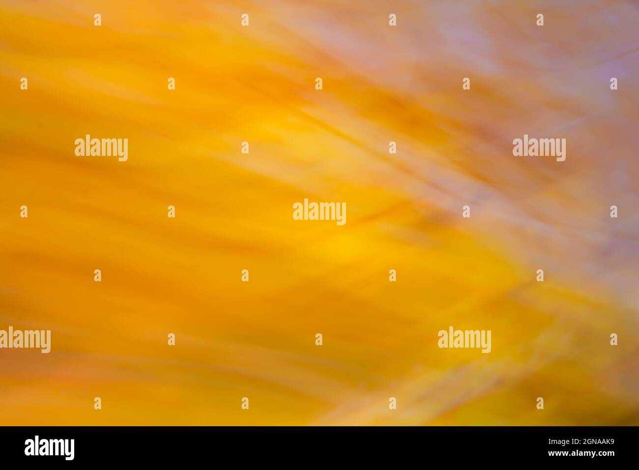Dark yellow autumn abstract wavy background. Photo effect Stock Photo ...
