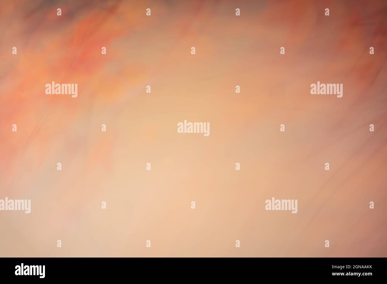 Abstract dark orange beige background with heavily blurred leaves and ...