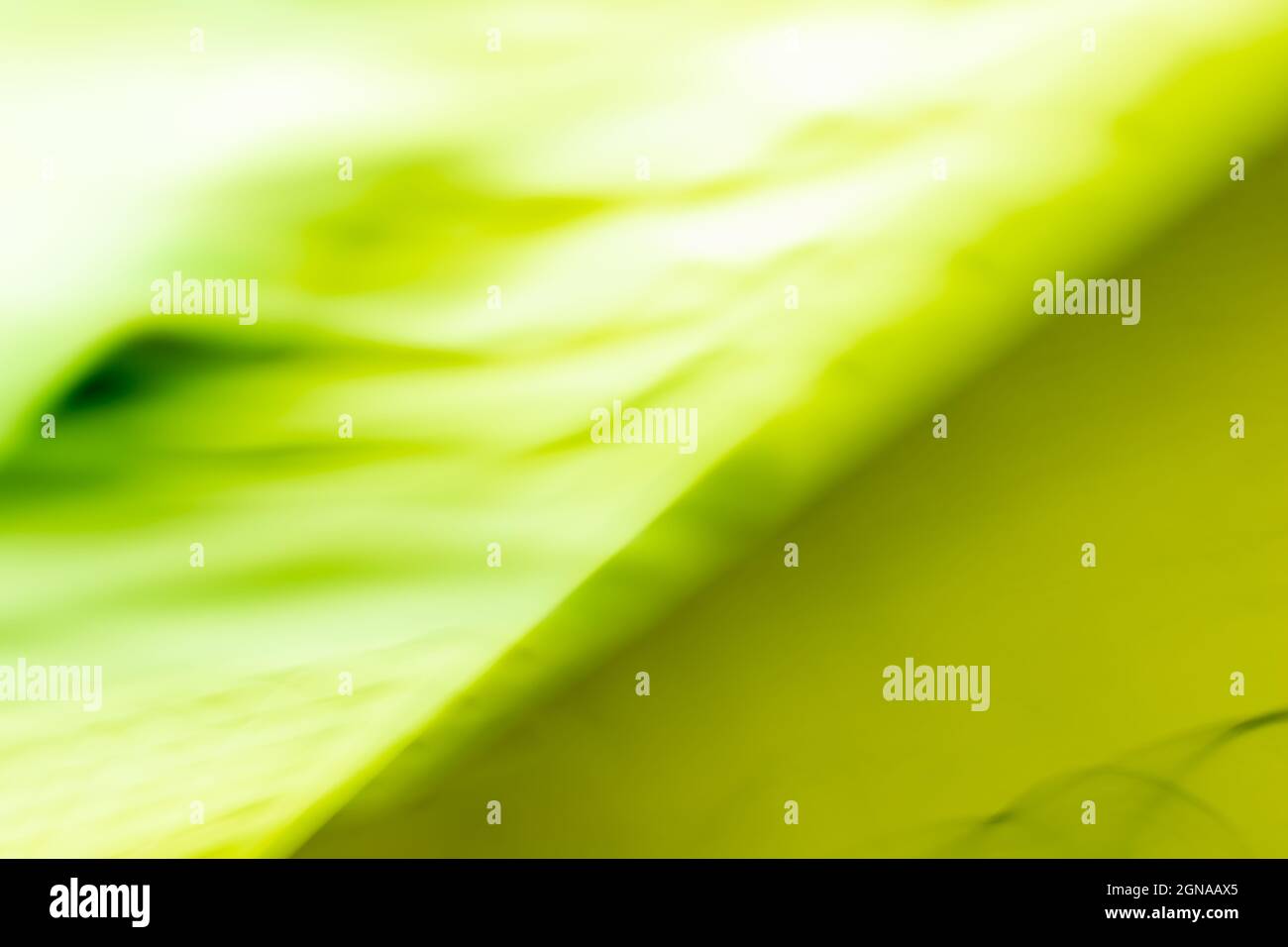 Abstract light green wavy background with gradient Stock Photo - Alamy