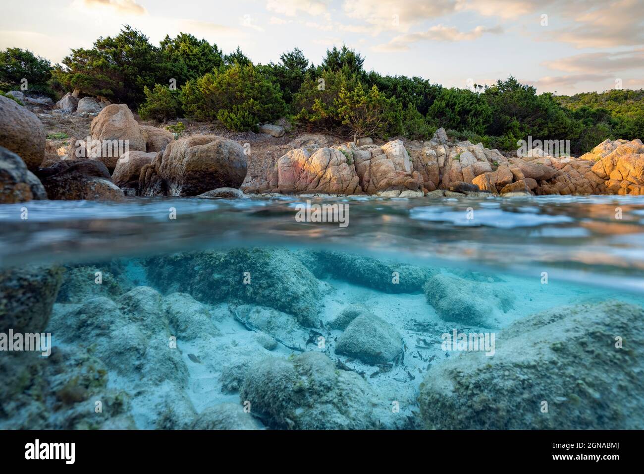 Lake Half Underwater