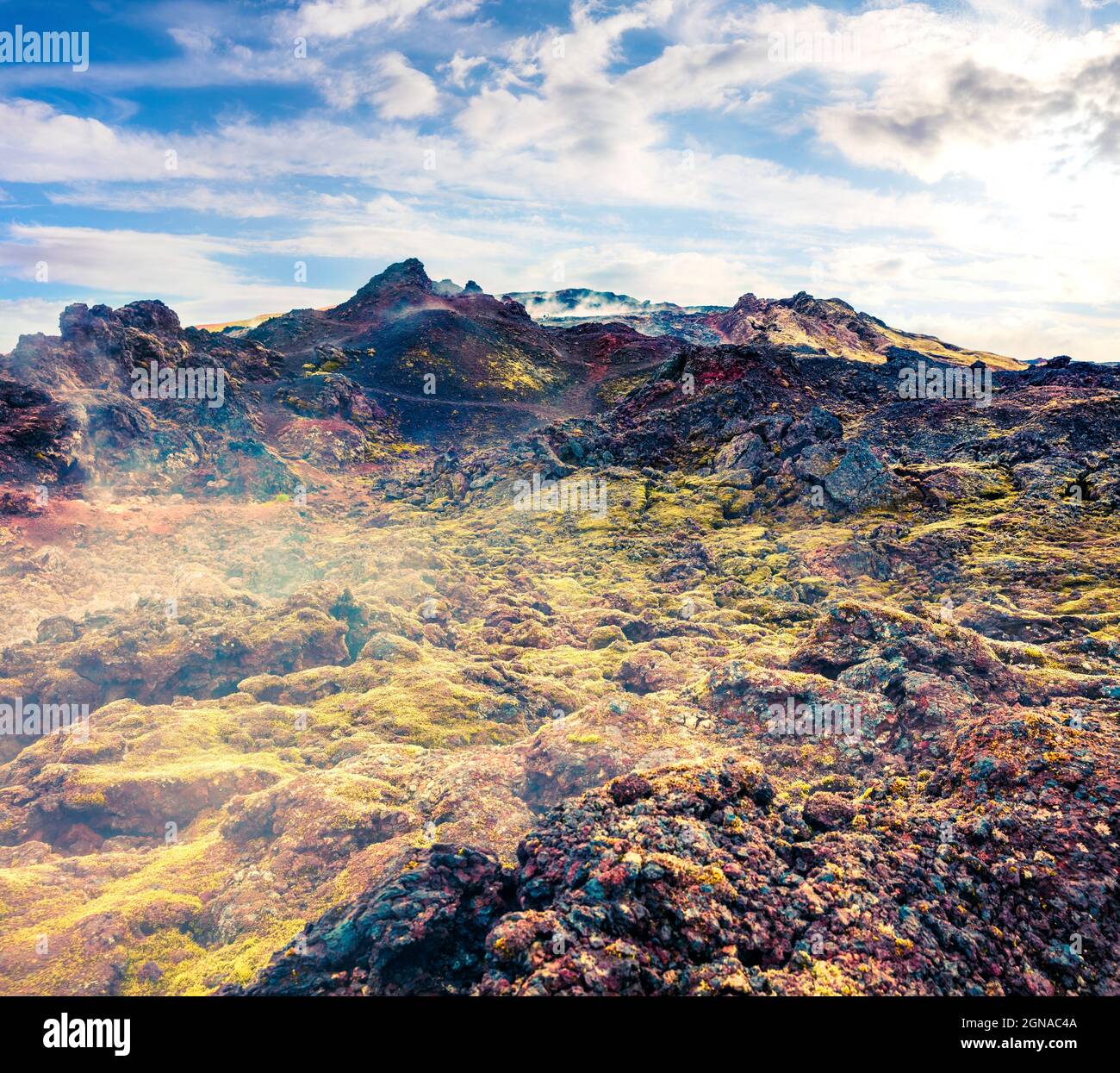 Fields of steamy waters in the Krafla volcano. Colorful exotic ...