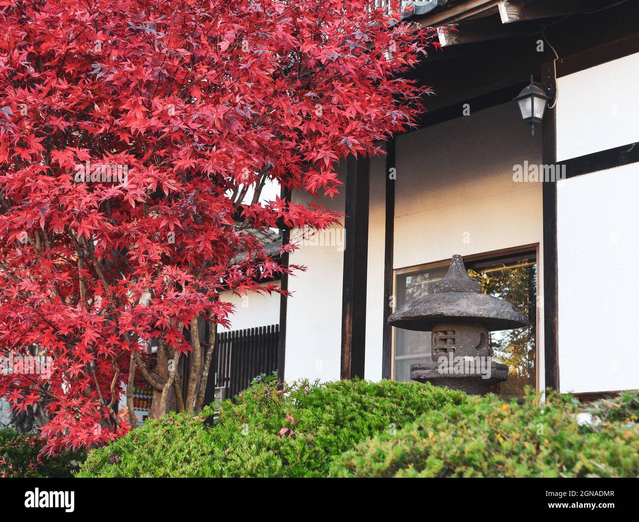 Autumn leaves at sunny day in Kusatsu Onsen Town, Gunma, Japan Stock ...