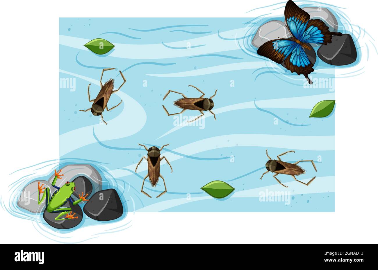 Top view of aquatic insects in the pond illustration Stock Vector Image ...