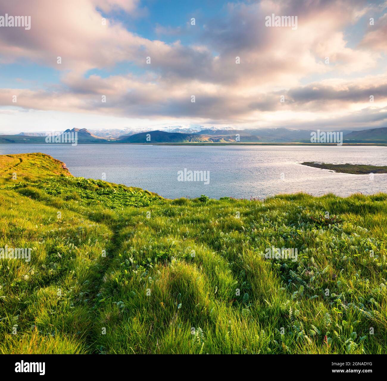Typical Icelandic landscape with volcanic mountains and Atlantic ocean ...