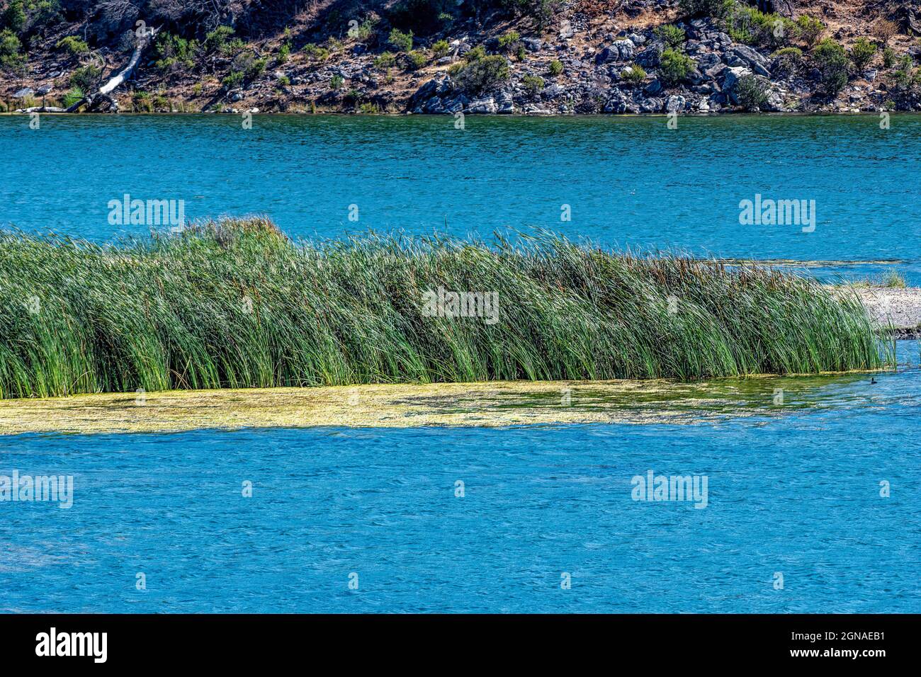Calero reservoir hi-res stock photography and images - Alamy