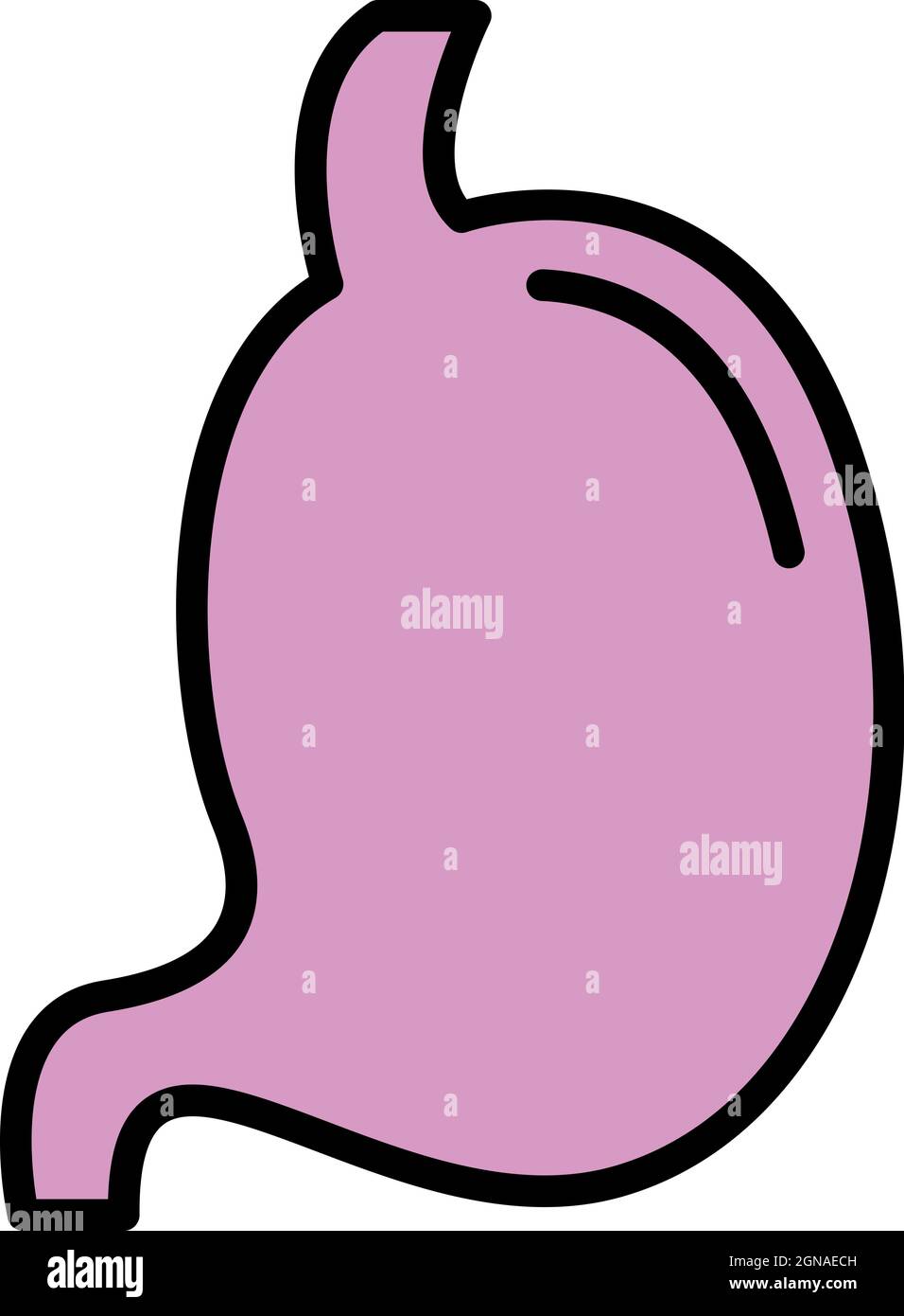 Human stomach icon. Outline human stomach vector icon color flat ...