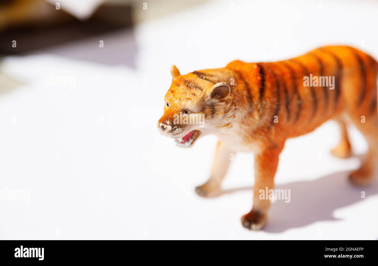 plastic toy tiger on white table Stock Photo - Alamy