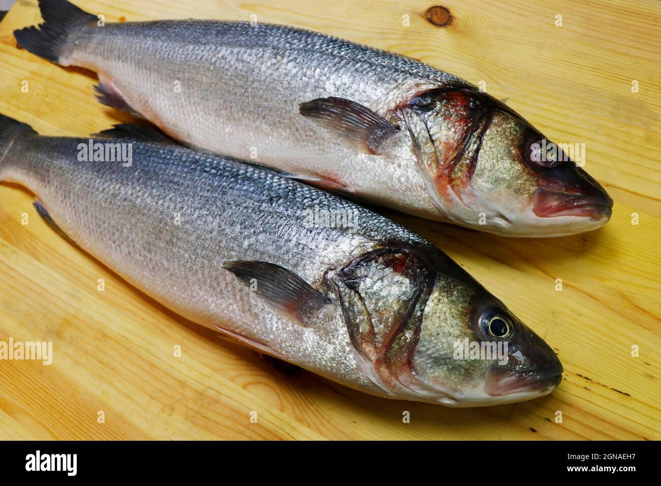 Atlantic sea bass hi-res stock photography and images - Alamy