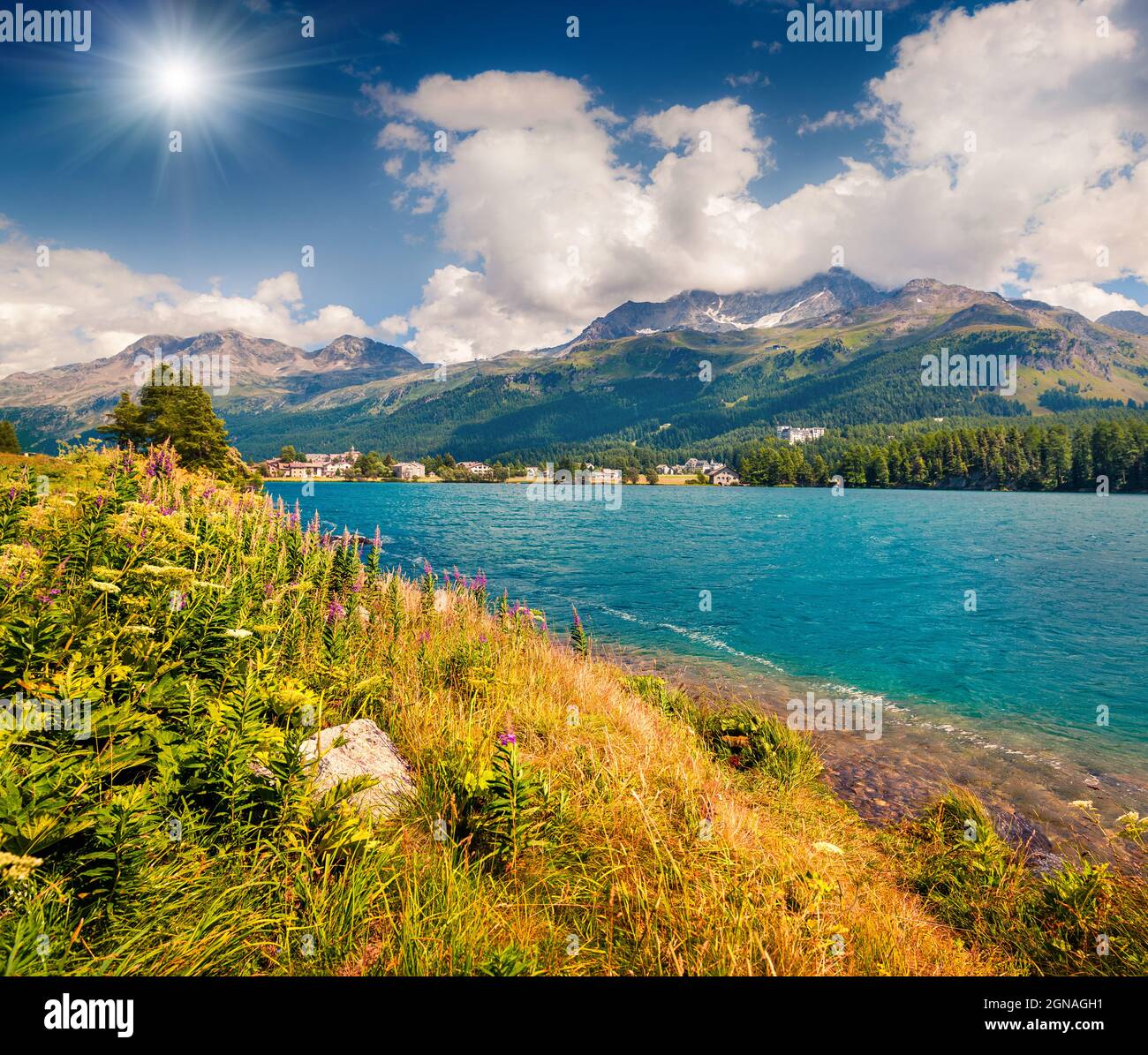 Summer sunny view of Sils im Engadin village. Picturesque outdoor scene ...