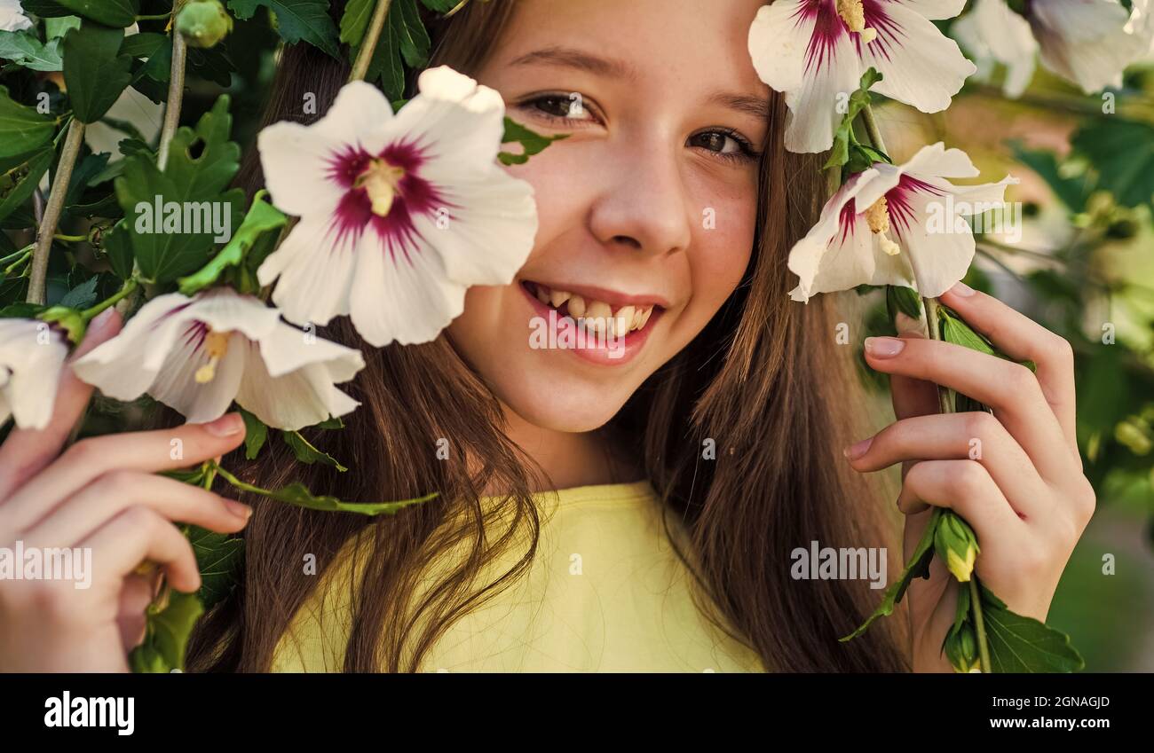 child among hibiscus bush flower in spring blooming season or summer ...