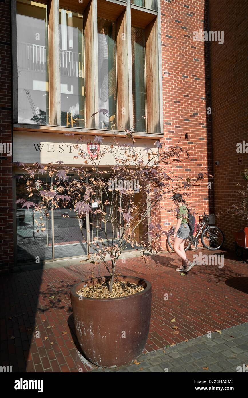A female student at the West Court exit and entrance to Jesus college ...