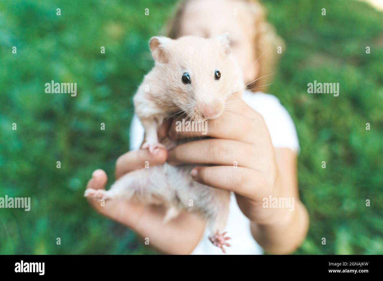 Girl with a hamster in nature. Cheerful happy child girl with pet ...