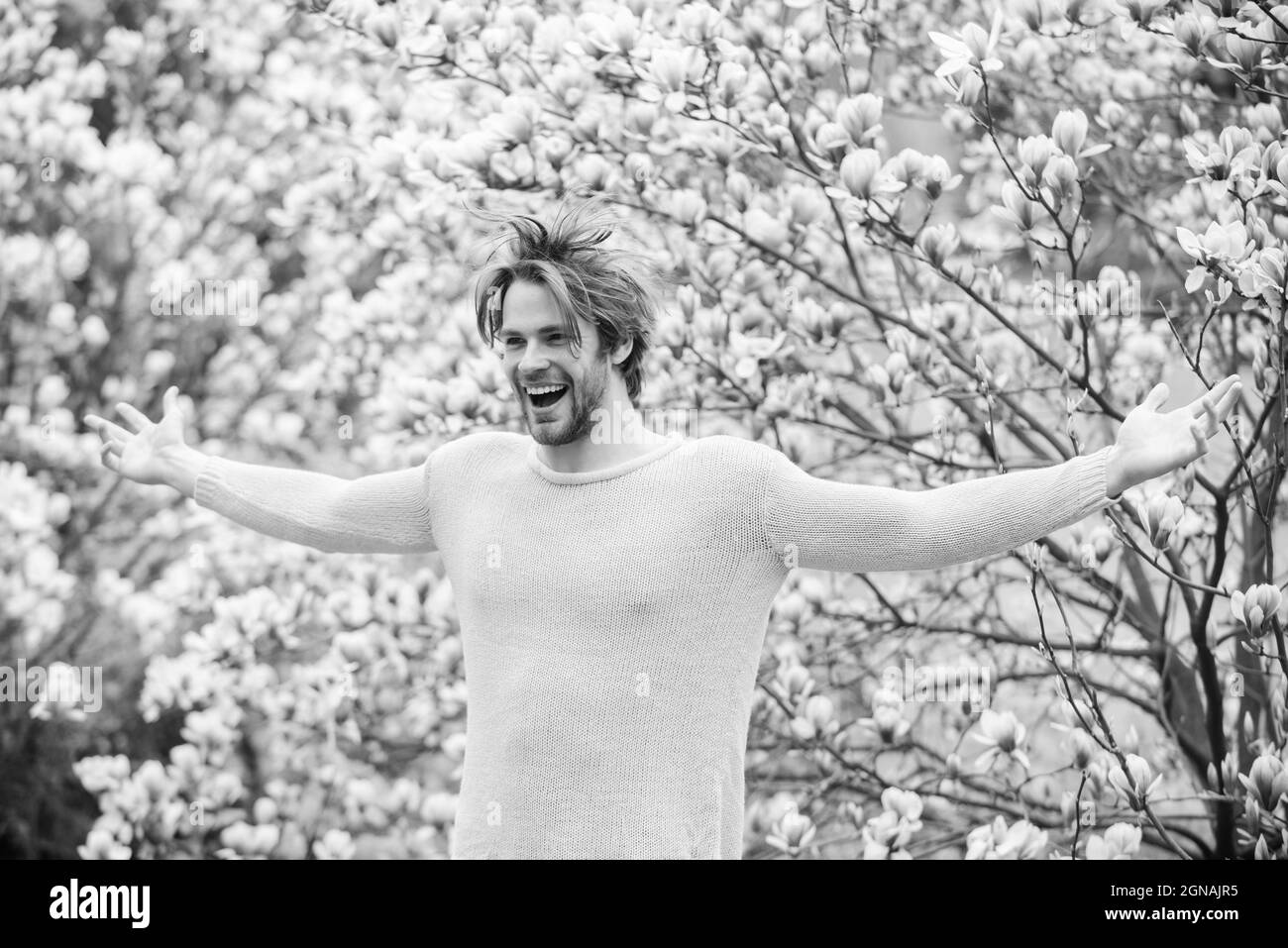 Spring season. Springtime concept. Unshaven man sniff bloom of magnolia ...