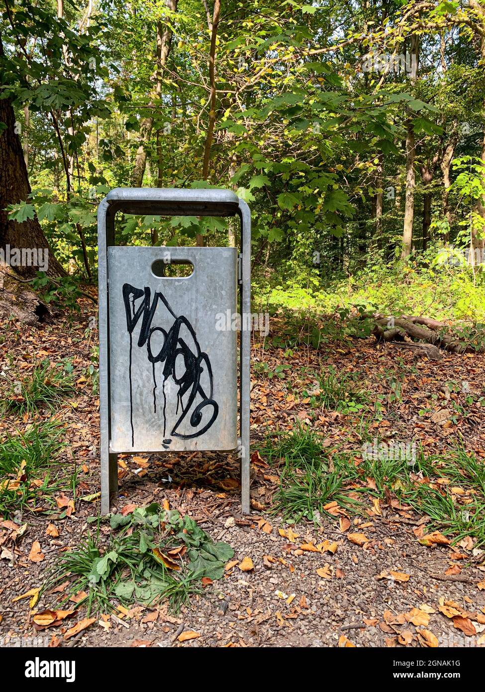 a garbage can smeared with graffiti in a german forest Stock Photo - Alamy