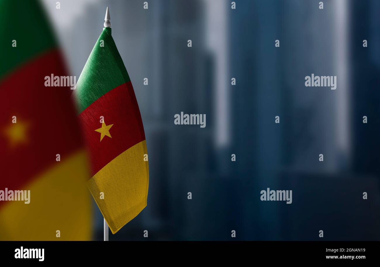 Small flags of Cameroon on a blurry background of the city Stock Photo ...