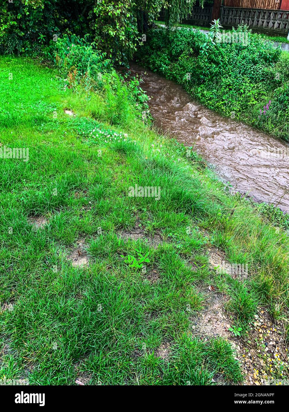Overflowing flowers hi-res stock photography and images - Alamy