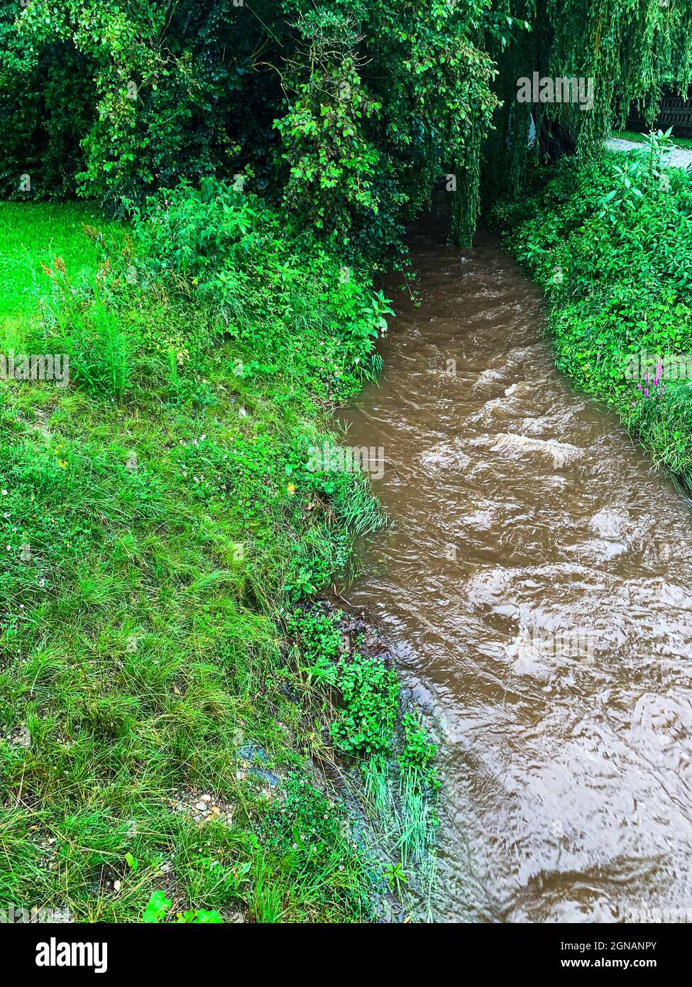 a small stream just before overflowing Stock Photo - Alamy