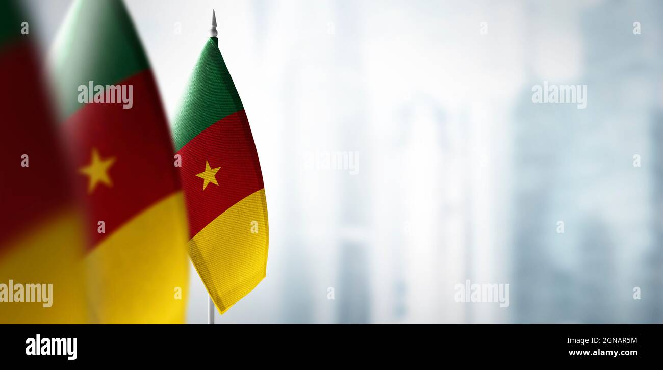 Small flags of Cameroon on a blurry background of the city Stock Photo ...