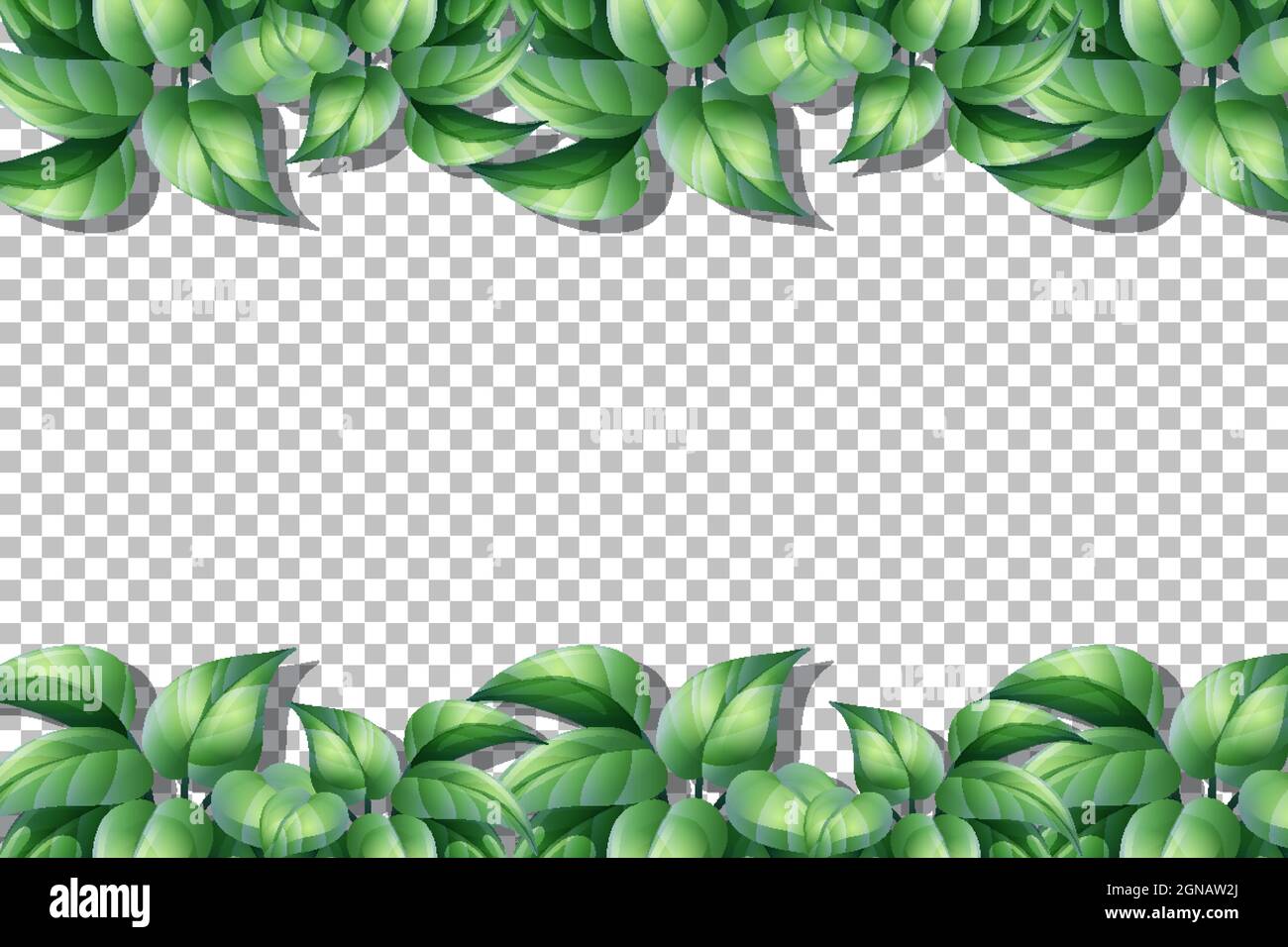 Nature plants frame transparent background illustration Stock Vector ...