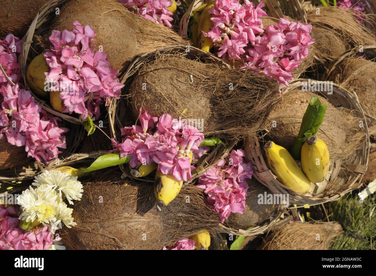 Coconut and Flower offerings for God for performing rituals in Hindu ...