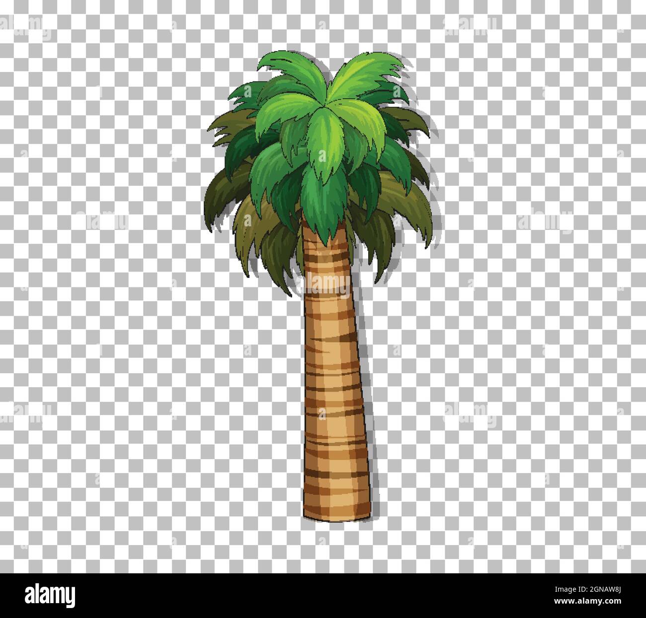 Tree on transparent background illustration Stock Vector Image & Art ...