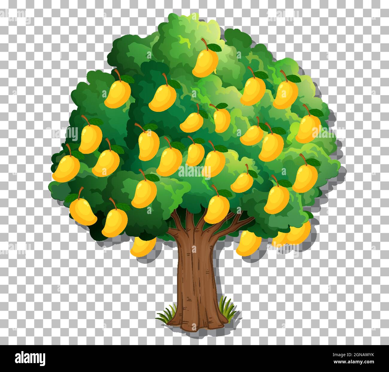 Mango tree on transparent background illustration Stock Vector Image ...
