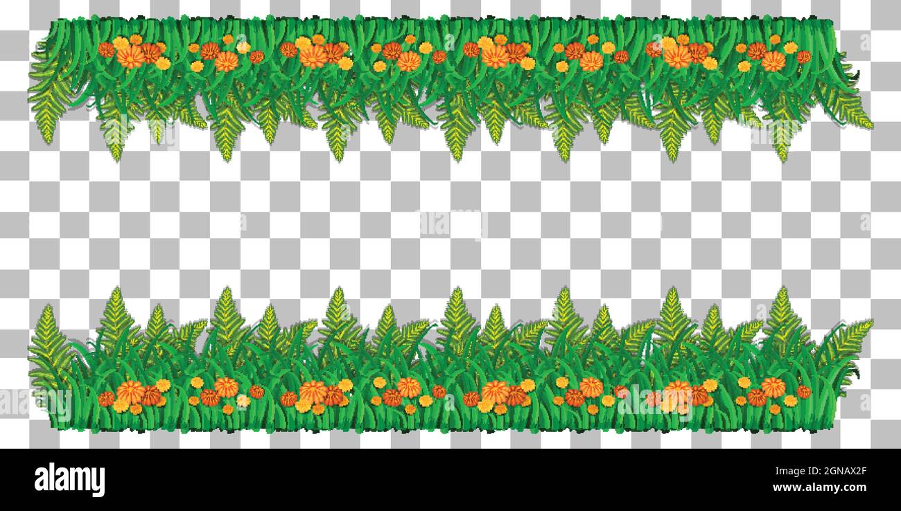 Nature Border Transparent