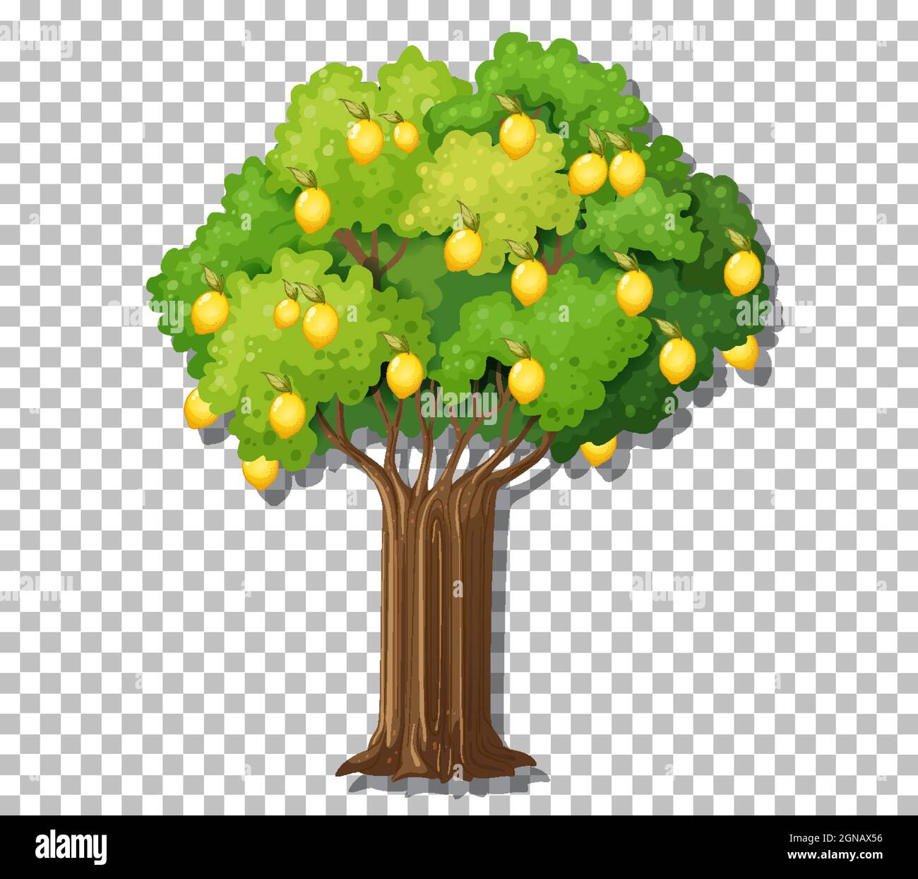 Lemon tree on transparent background illustration Stock Vector Image ...