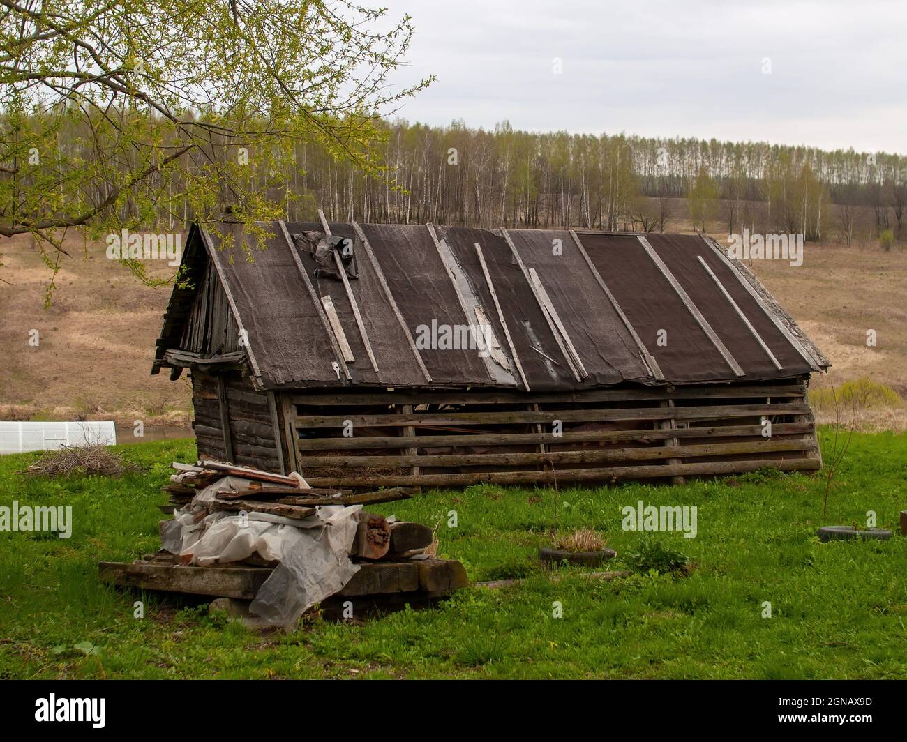 old dilapidated barn in the village, in the spring Stock Photo - Alamy