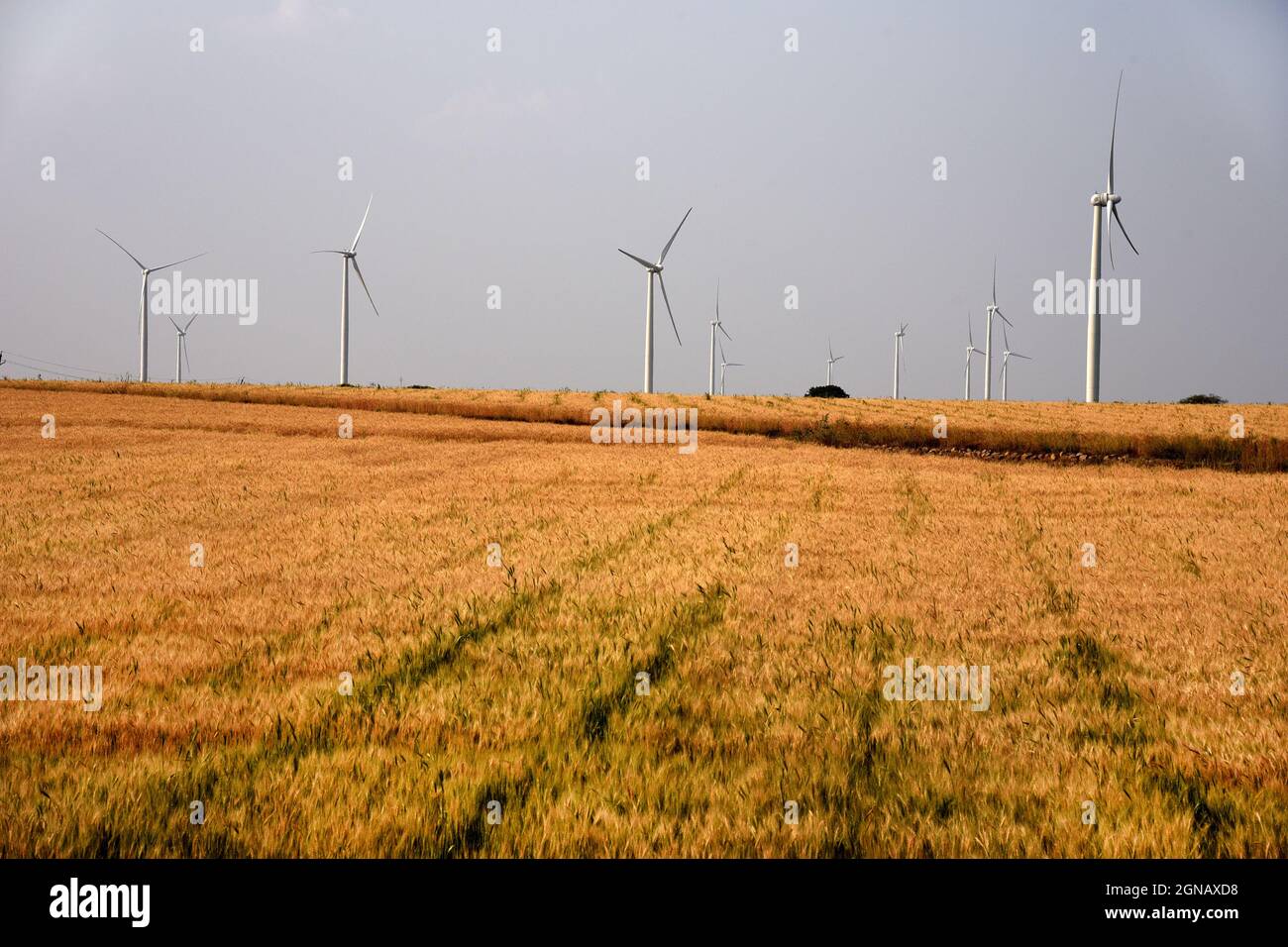 Wind energy is being promoted near Indore, Madhya Pradesh for ...