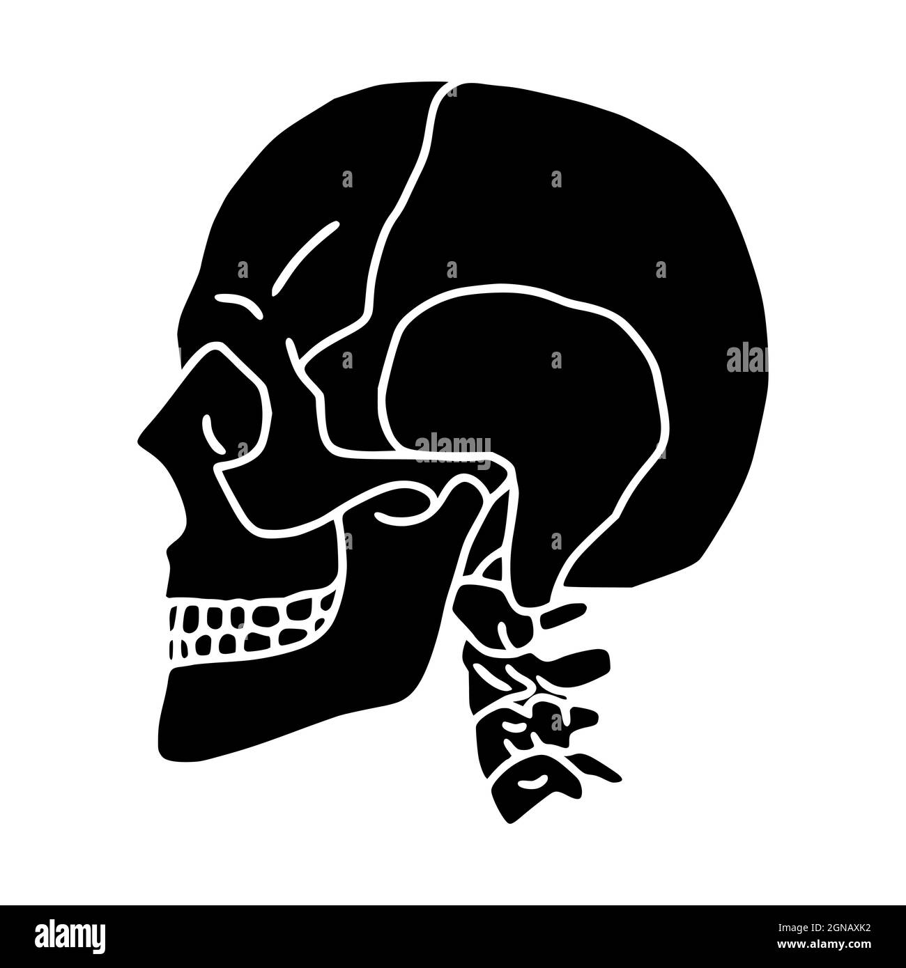 Human skull glyph icon, side view Stock Vector Image & Art - Alamy