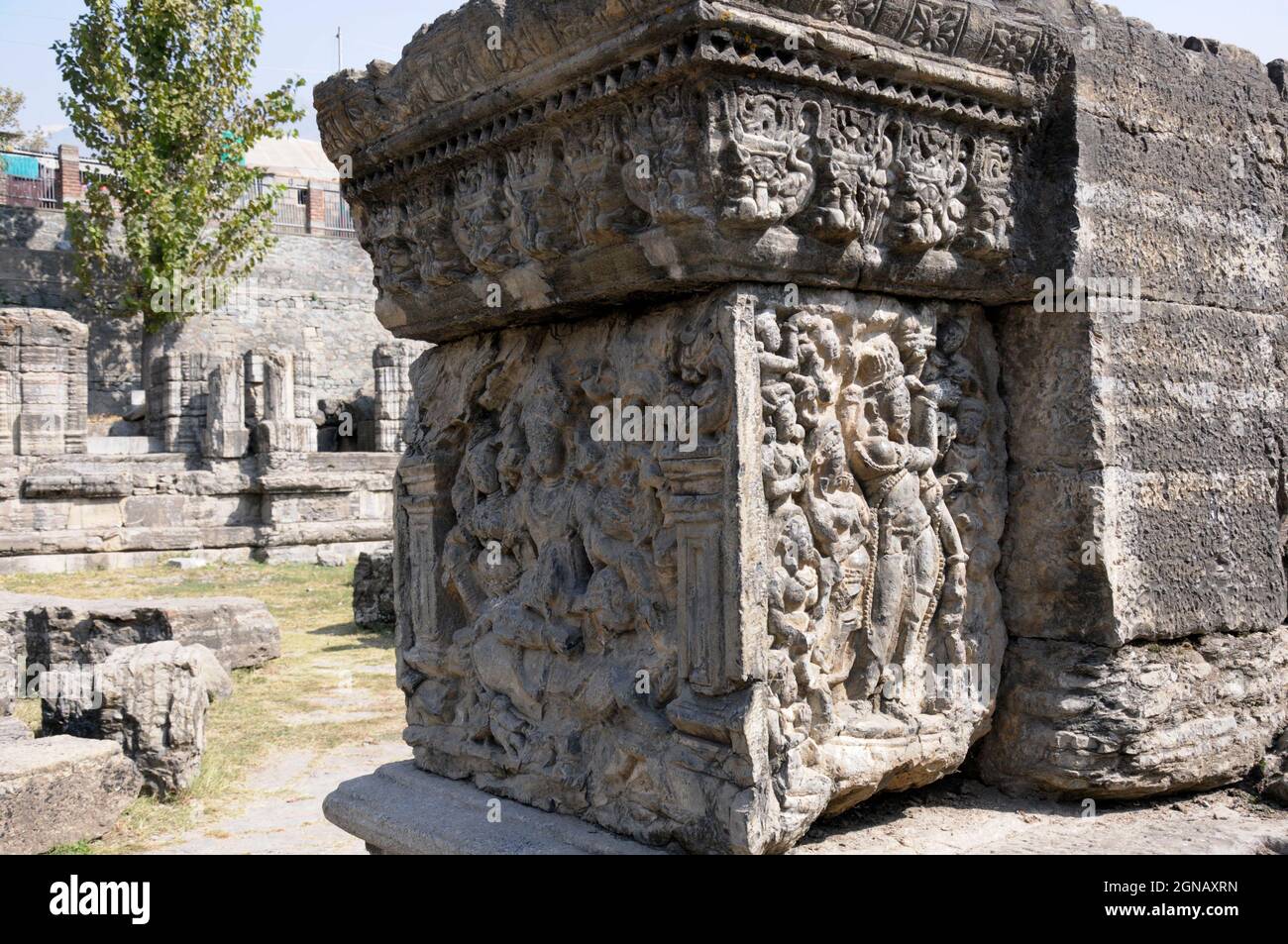 Avantipur Temple, founded by king Avantivarman (AD 855-883). Over the ...