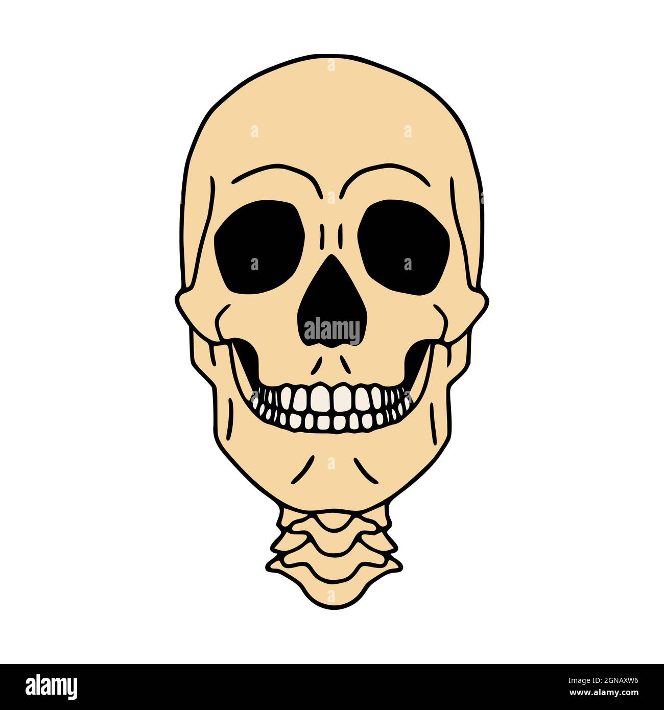 Human skull flat icon, front view Stock Vector Image & Art - Alamy