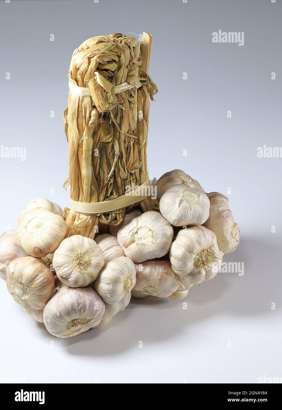 Close up the unpeeled garlic piled up, Bunch of garlic bulbs from ...