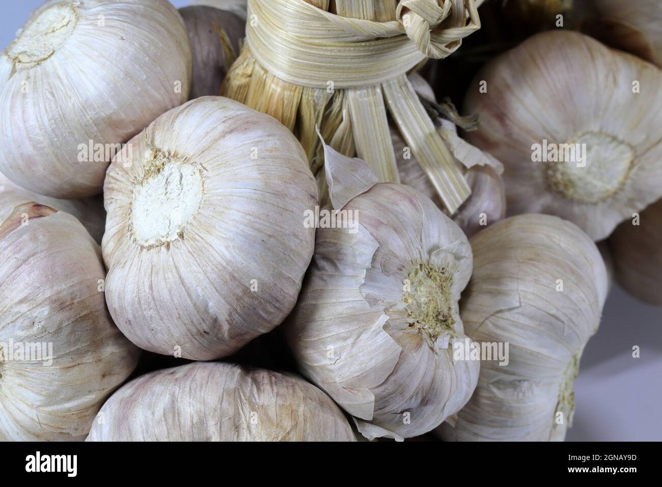 Close up the unpeeled garlic piled up, Bunch of garlic bulbs from ...