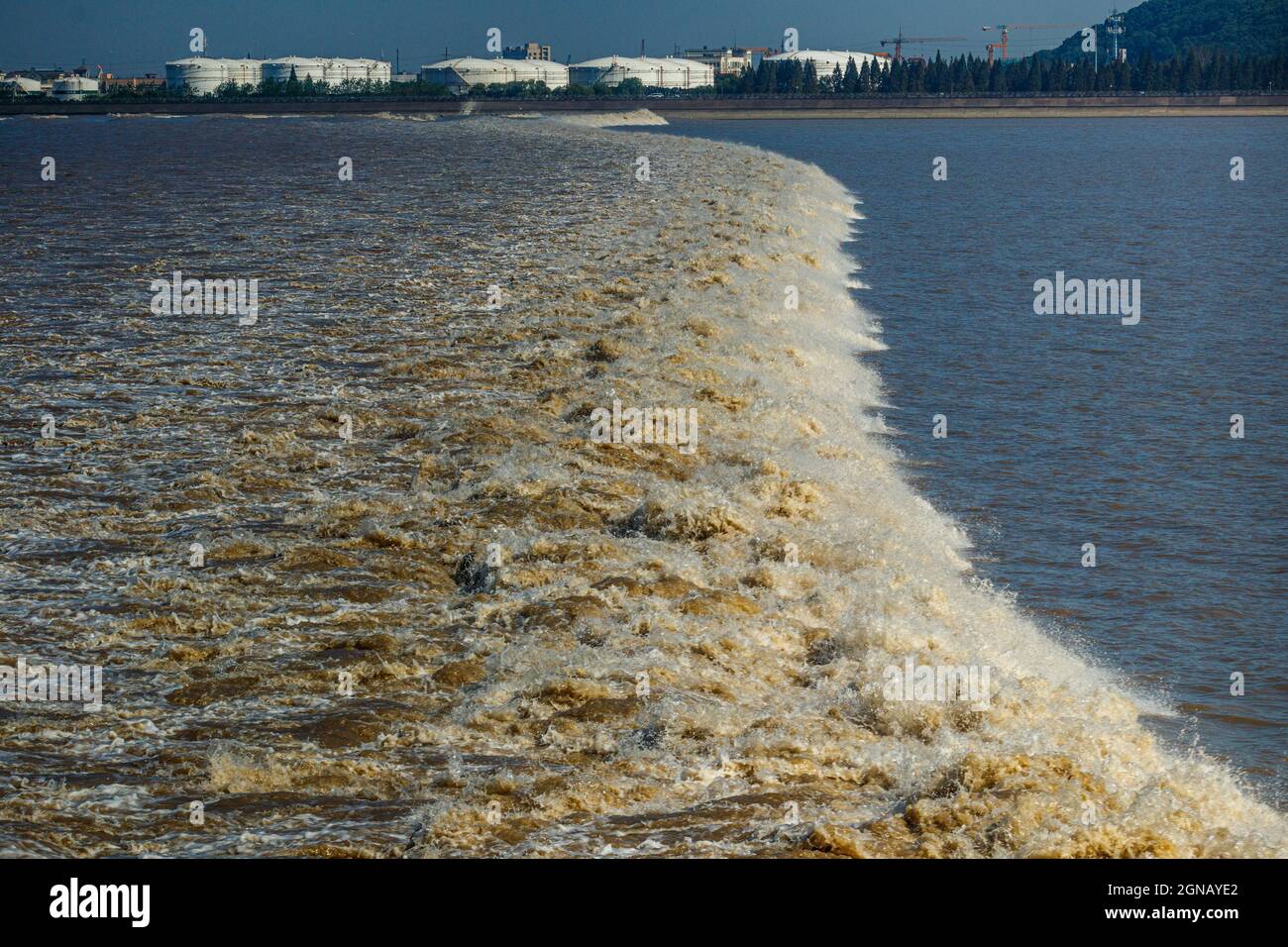 The tide waves are captured at Qiantang River in Hangzhou city, east ...