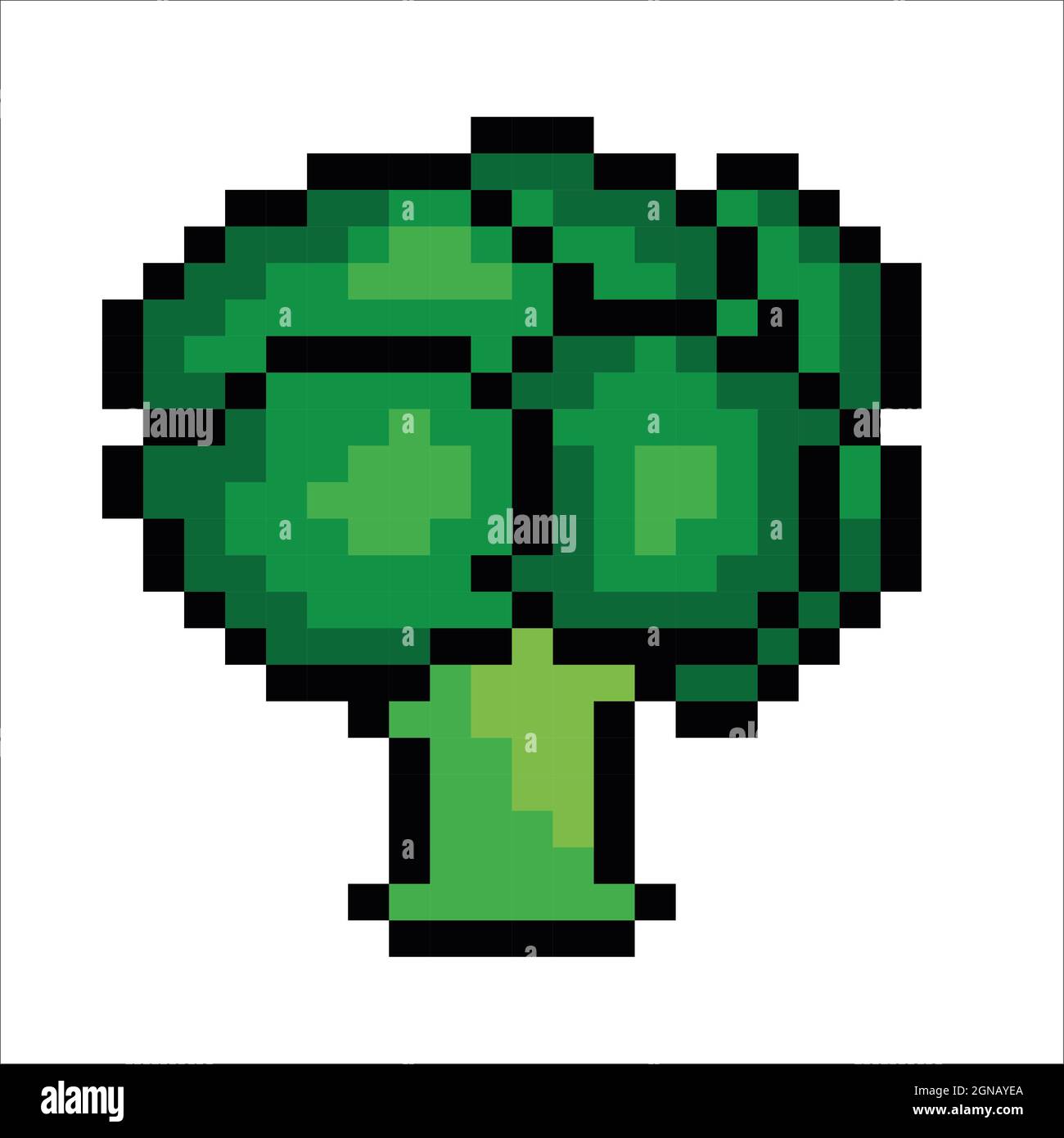 Broccoli pattern cartoon style hi-res stock photography and images - Alamy