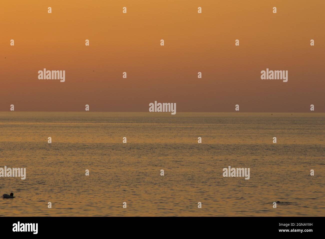 Sunset background, Black sea sunset view and landscape in Georgia Stock ...