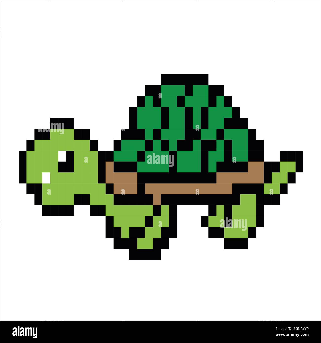 Turtle clipart set hi-res stock photography and images - Alamy