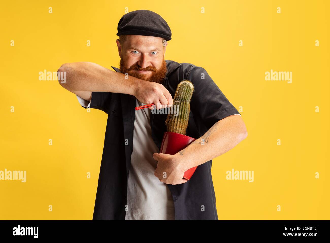 Comic portrait of stylish red-bearded man, barber in black cap having ...
