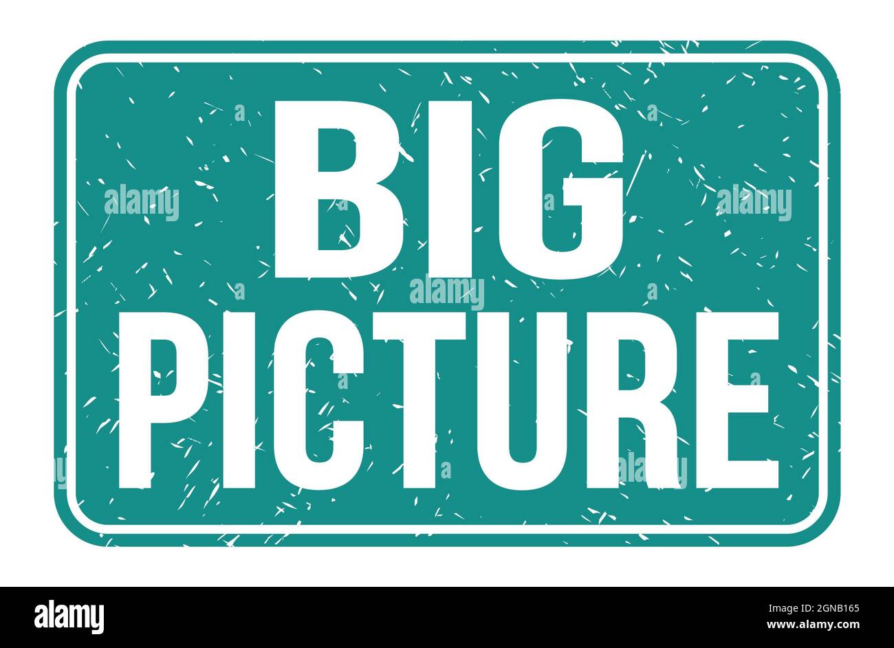 BIG PICTURE, words written on blue rectangle stamp sign Stock Photo - Alamy