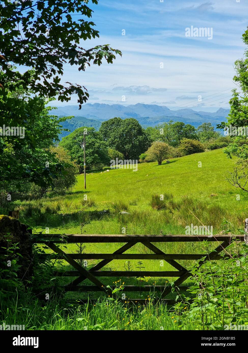 A farmers gate into a beautiful green field overlooked by Mountains in ...