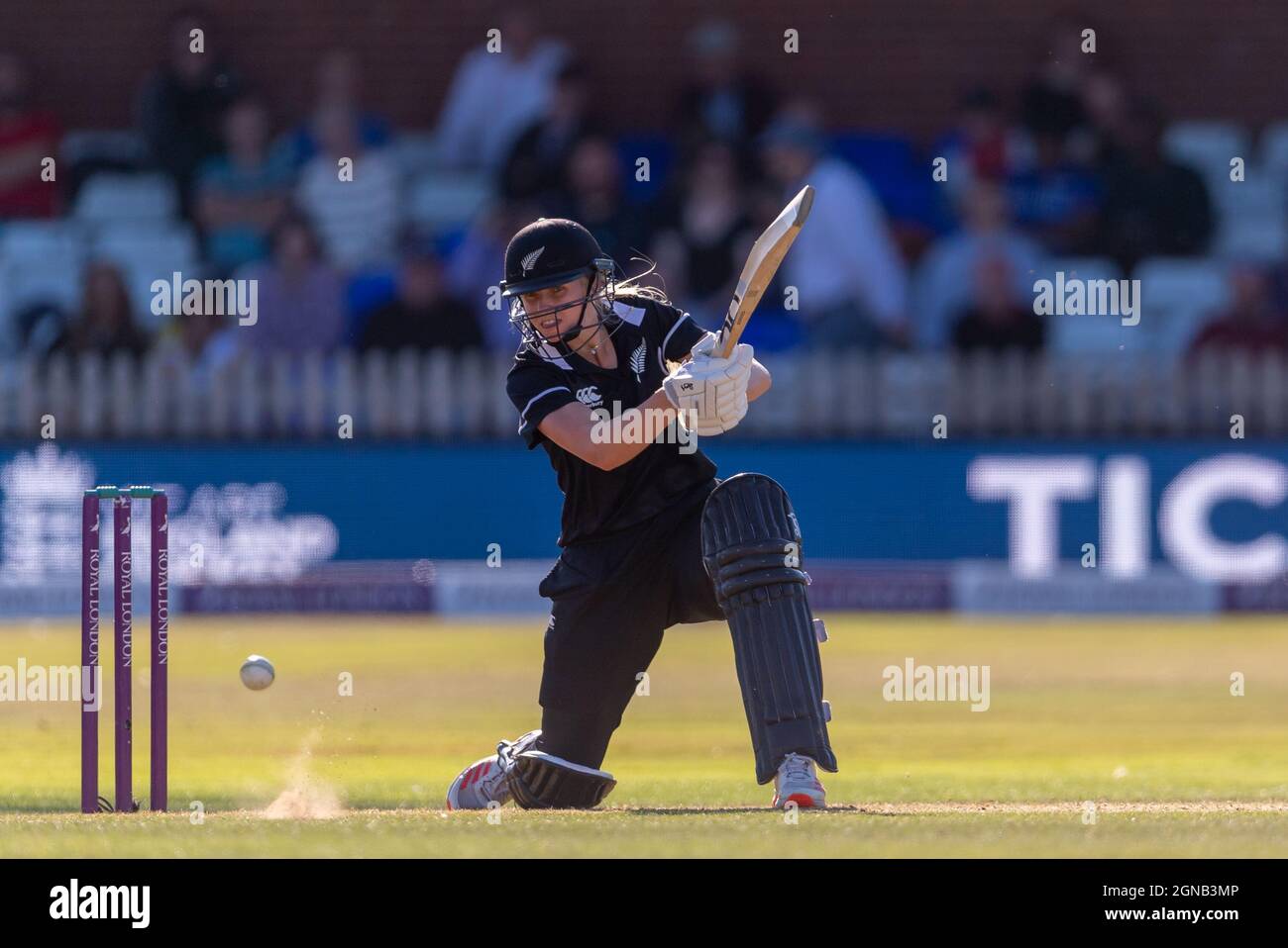 Cricket new zealand hi-res stock photography and images - Alamy