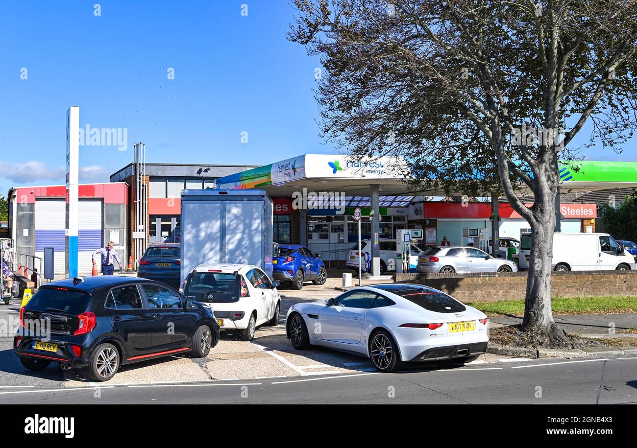 Driver truck petrol station hi-res stock photography and images - Alamy